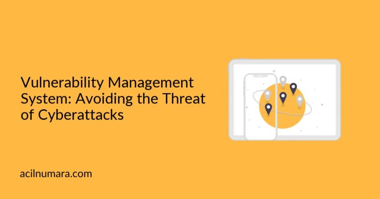 Vulnerability Management System: Avoiding the Threat of Cyberattacks ...
